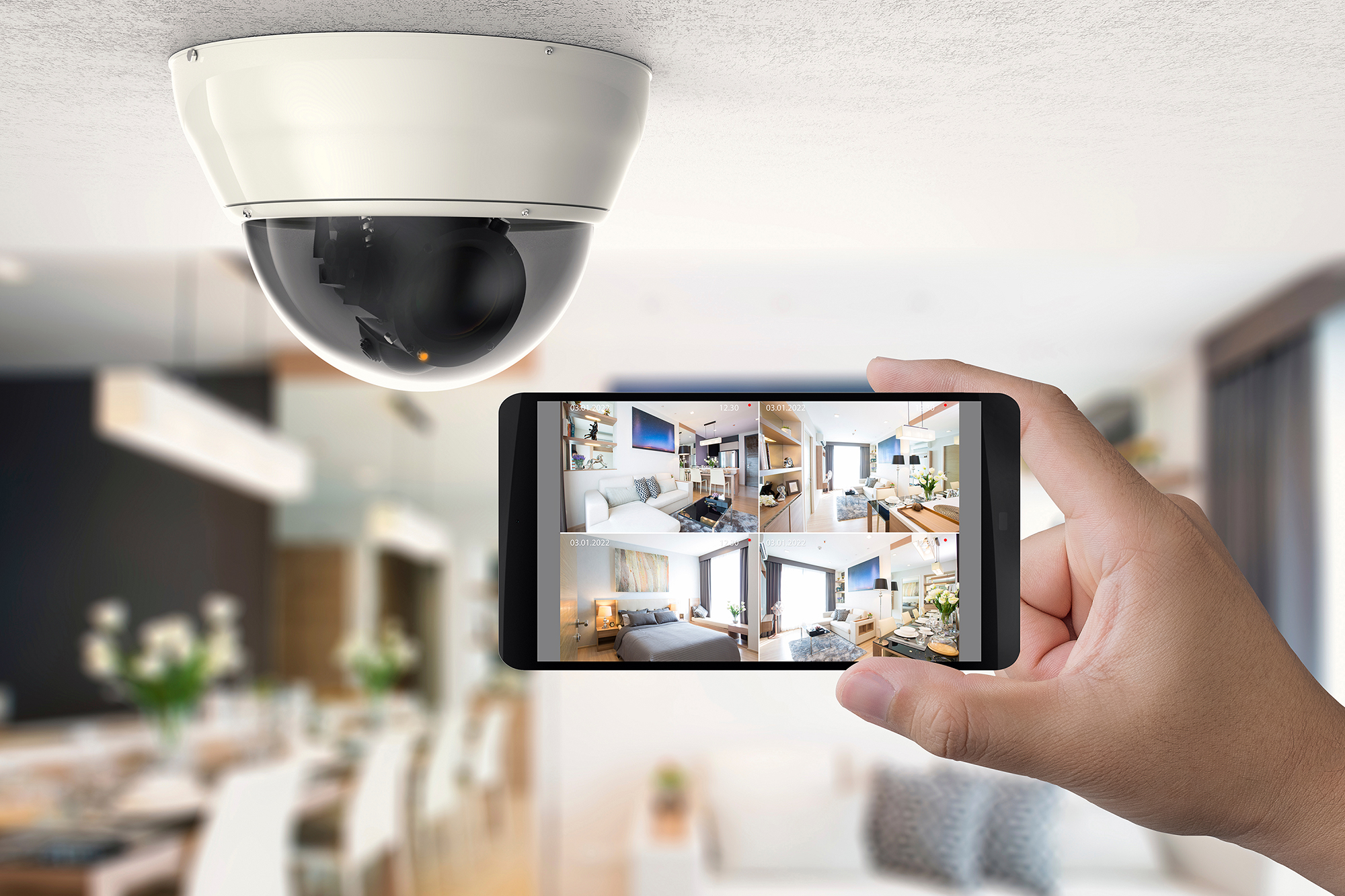 Security & Surveillance - Live Free AV